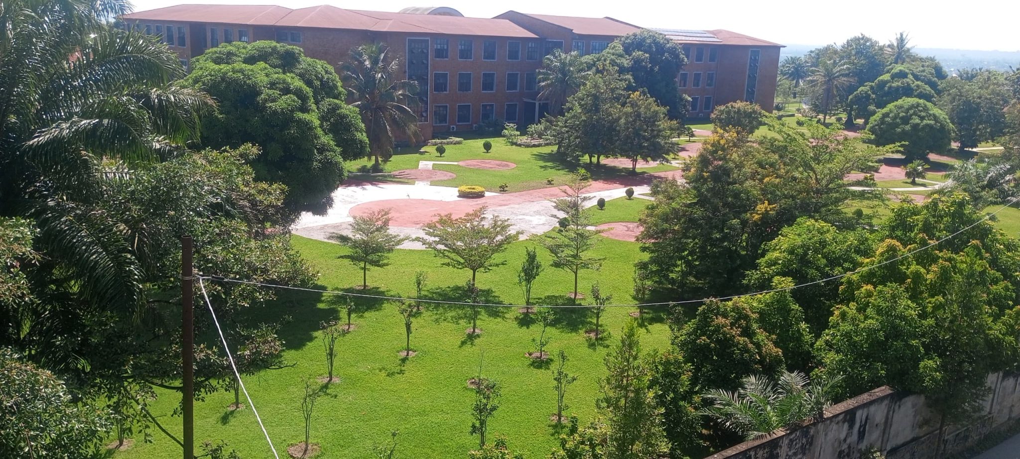 Initiative verte à l'Université Mapon : Plus de 1000 arbres fruitiers ...